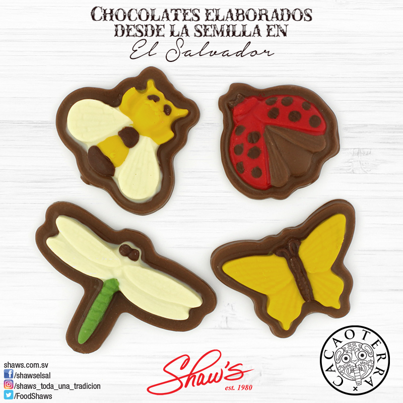 Insectos de chocolate - Pagina Web de Shaw´s