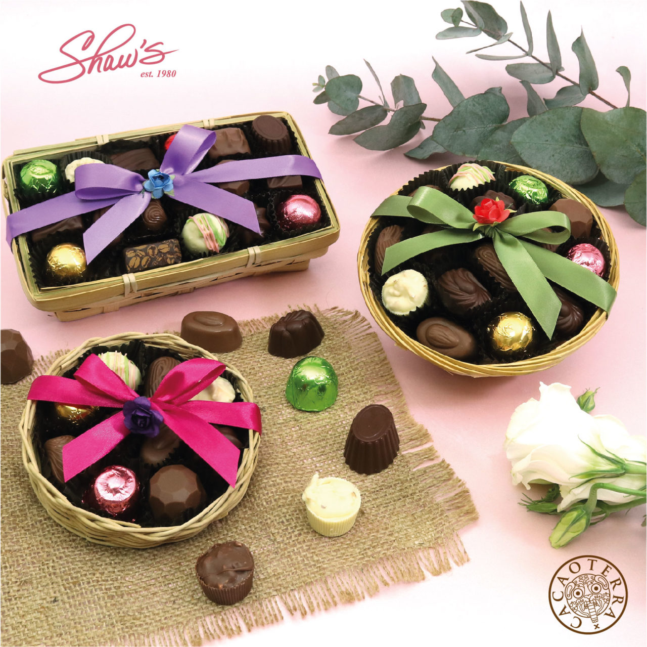 Chocolate salvadoreño para mamá - Pagina Web de Shaw´s